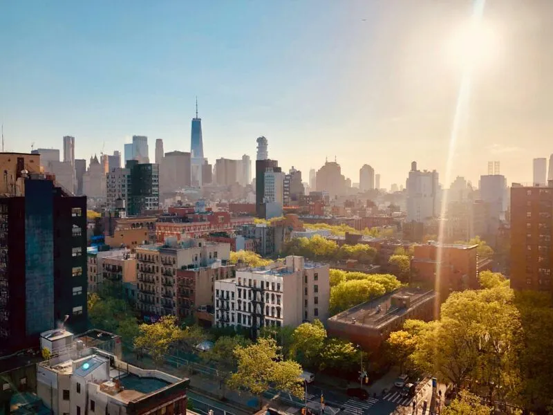 The Five Most Moronic and Dangerous Woke Ideas of 2020 - New Discourses