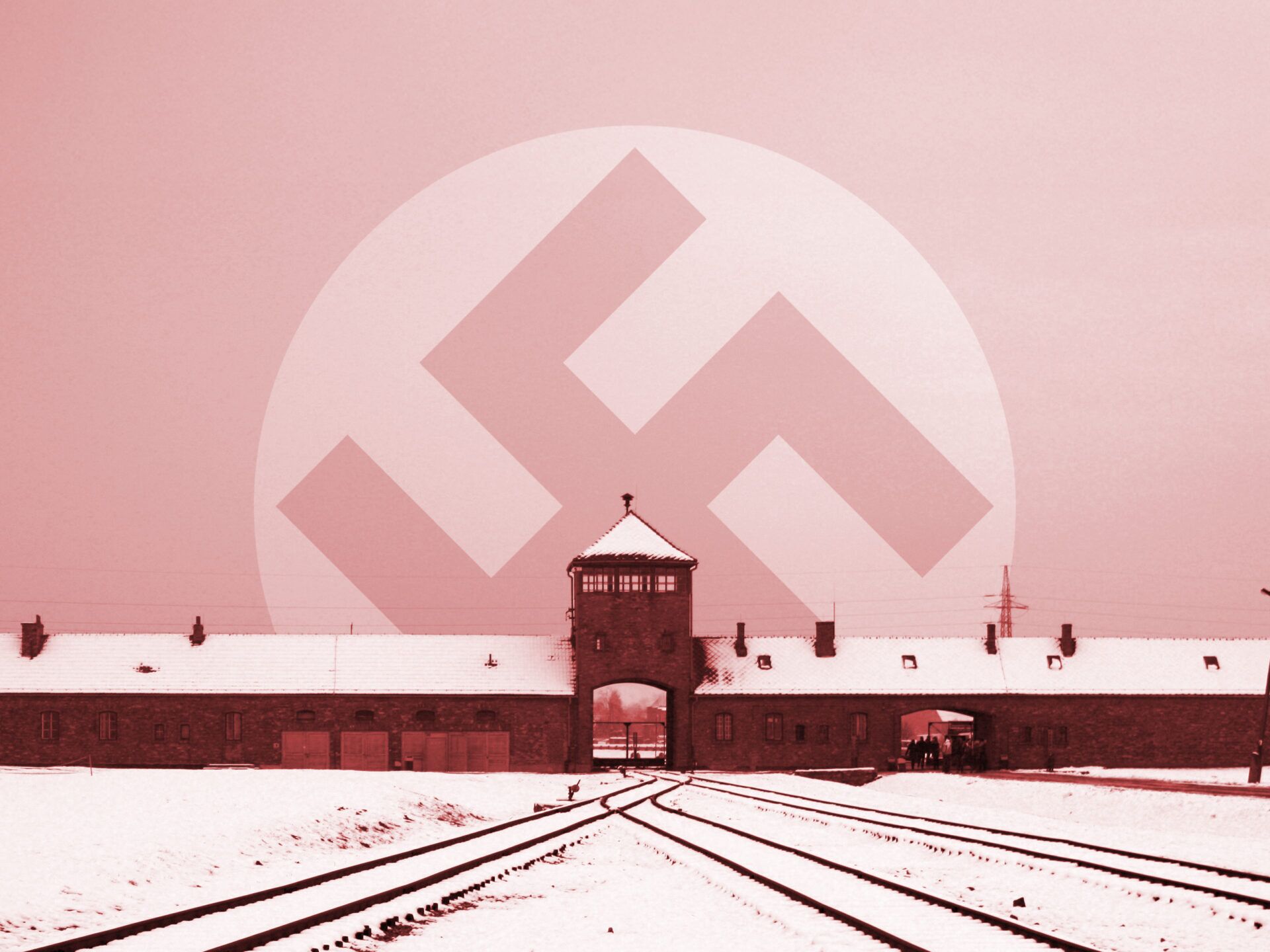 Surviving a Modern Struggle Session - New Discourses