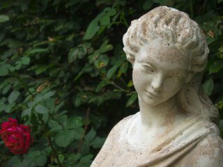 Name the Dynamic - New Discourses