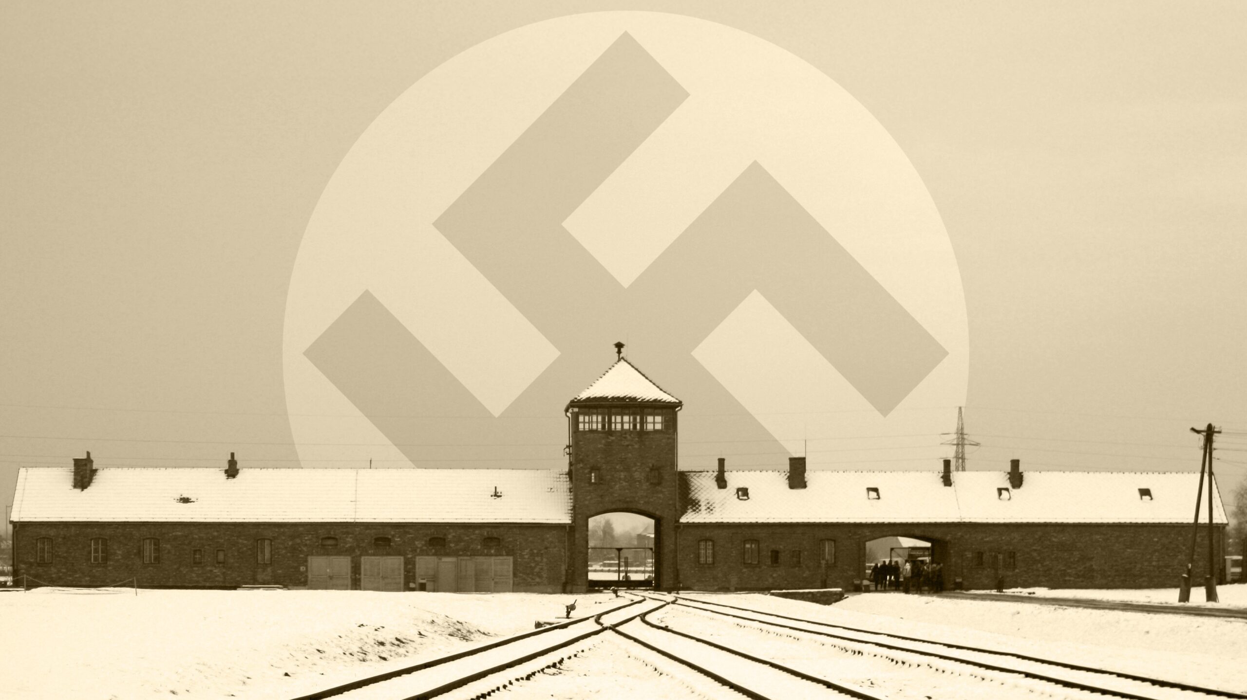 The Nazi Experiment, Vol. 2: Hitler's Nazi Race Ideology - New Discourses