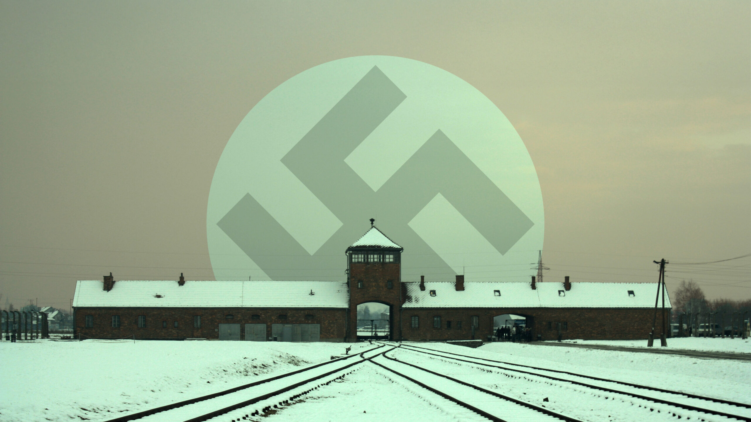 The Nazi Experiment, Vol. 4: Nazi Worldview, Nazi Organization - New ...