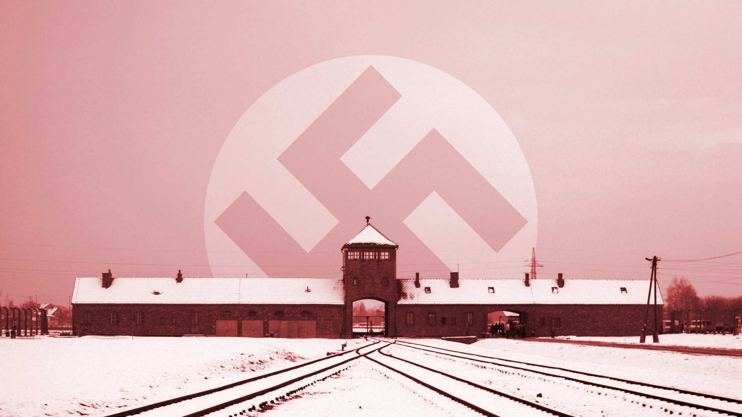 The Nazi Experiment, Vol. 10: Blood, Soil, and the Racial State - New ...